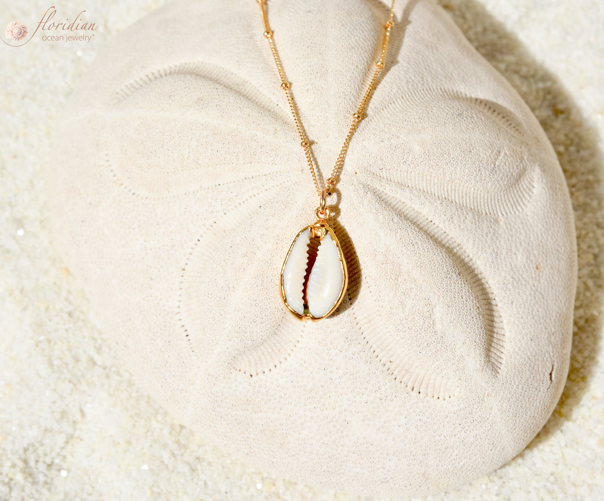 White Cowrie Sea Shell Necklace – Nadine Holland Designs